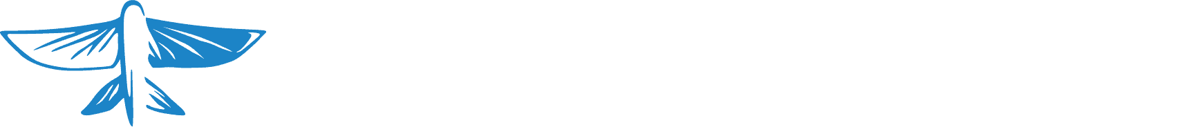 Flying Fish - Traveling Exhibition Services