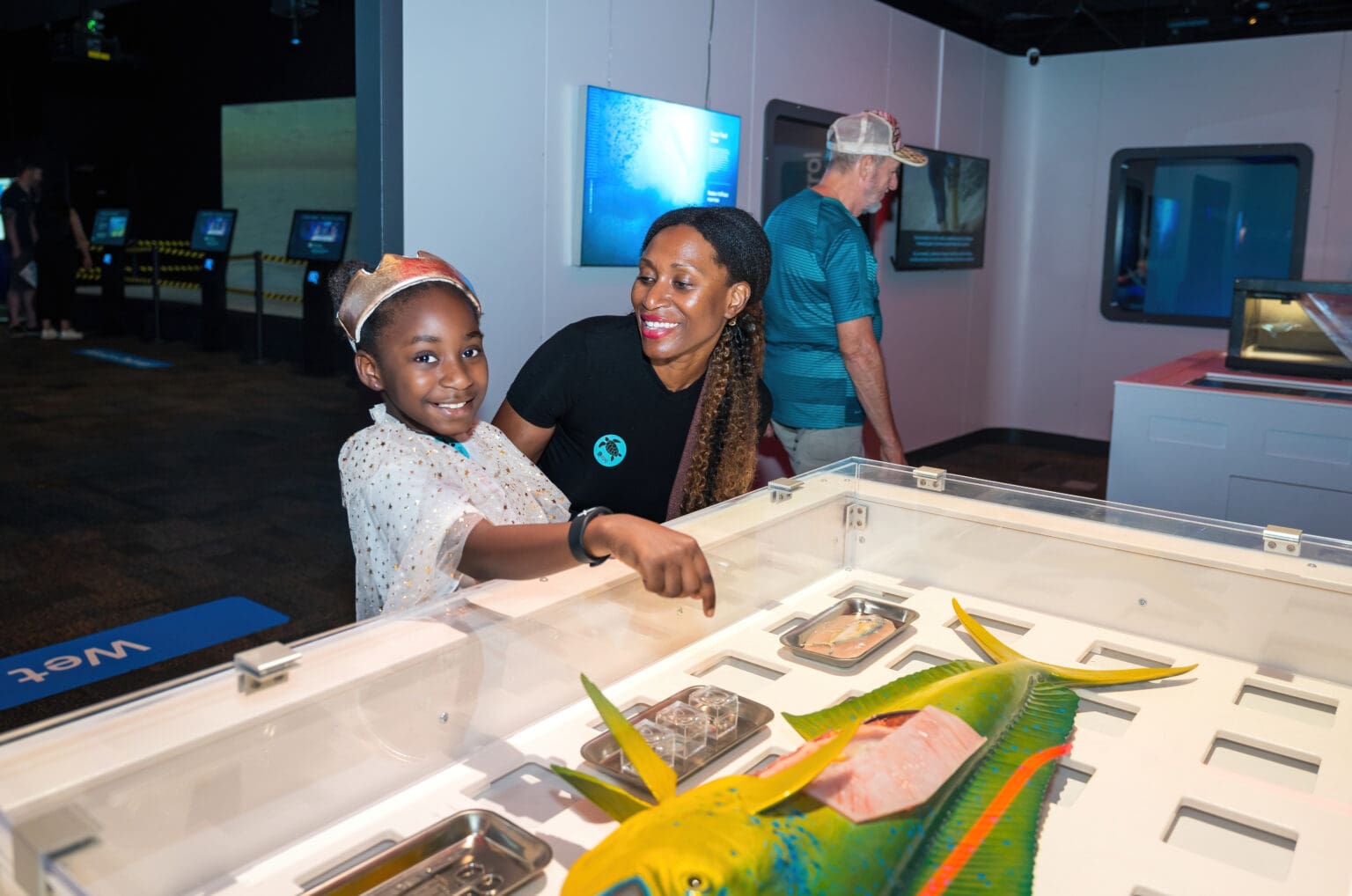 OceanXperience | Flying Fish | Traveling Exhibition