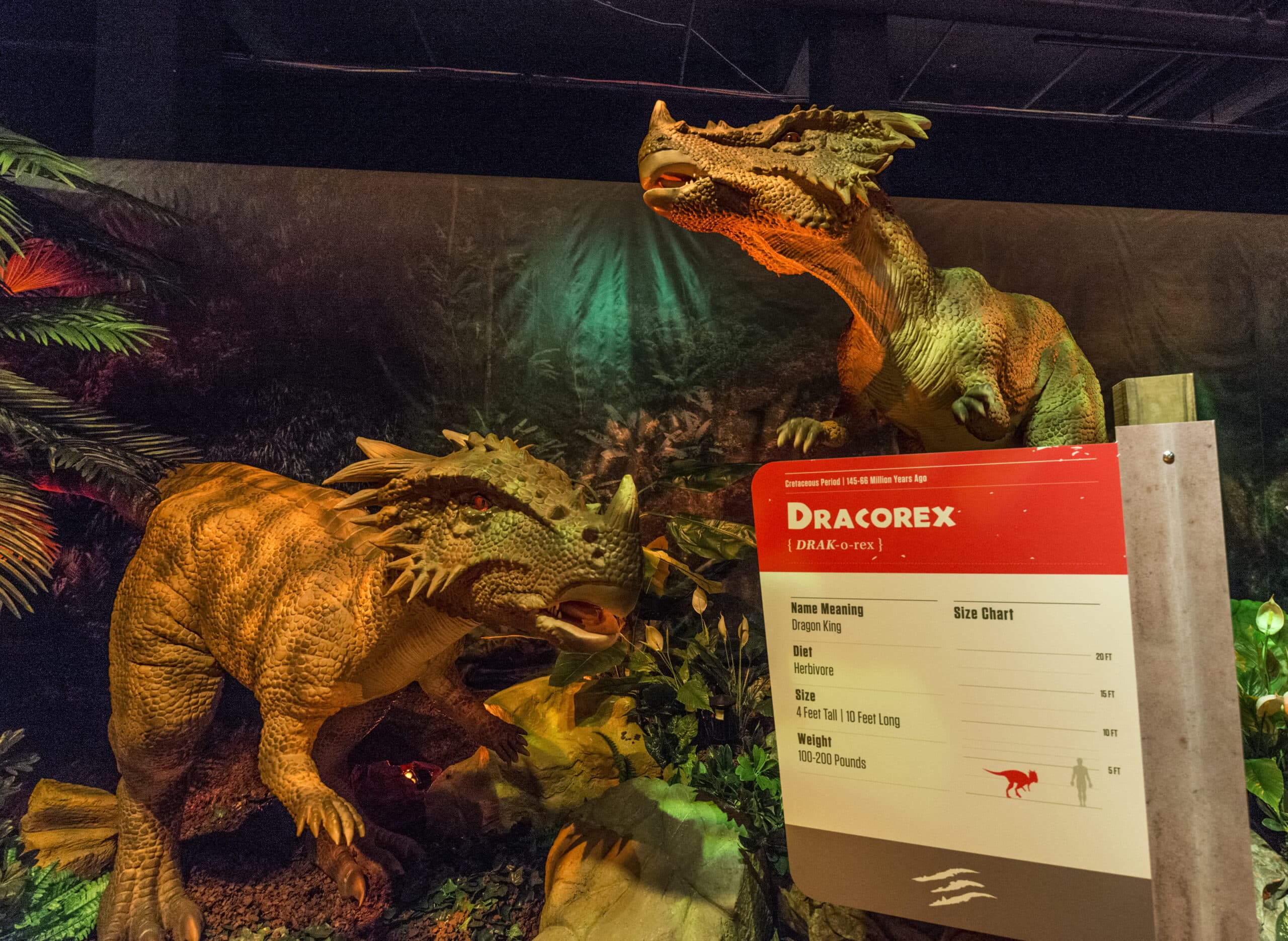 Dinosaurs Revealed: Journey Across America | Flying Fish | Traveling ...